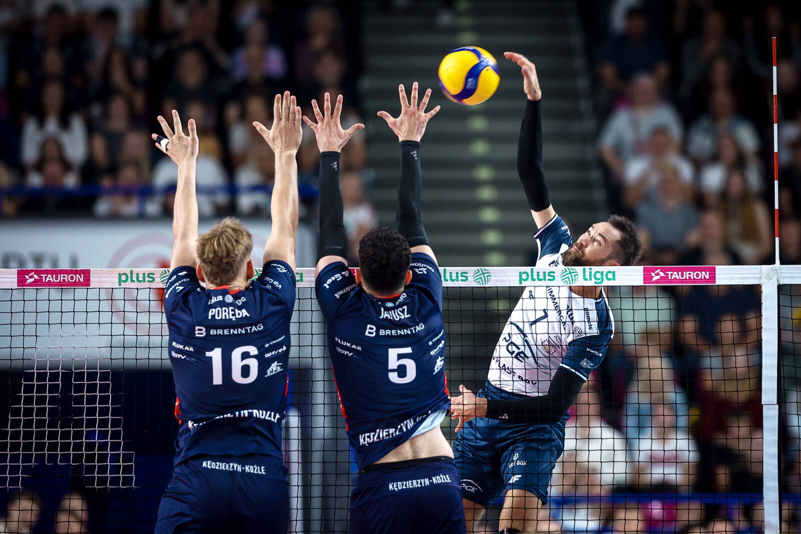 Projekt and ZAKSA to open Poland Cup action on Tuesday